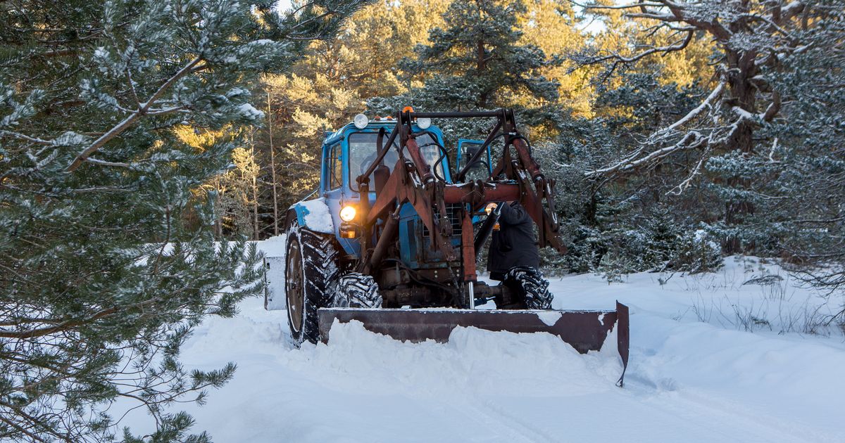 EV 105 Torgu aasta tegija on Kaspar Kallas