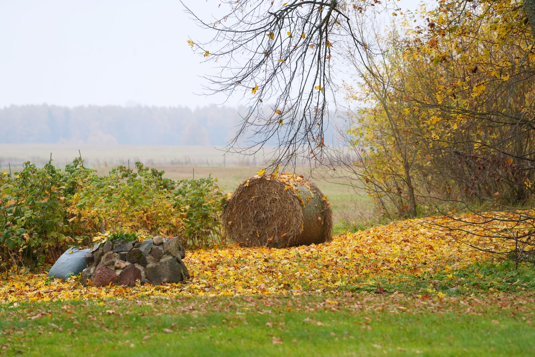 Sniegs, lapkritis un -5 grādi. Sinoptiķi prognozē laiku nākamajai nedēļai