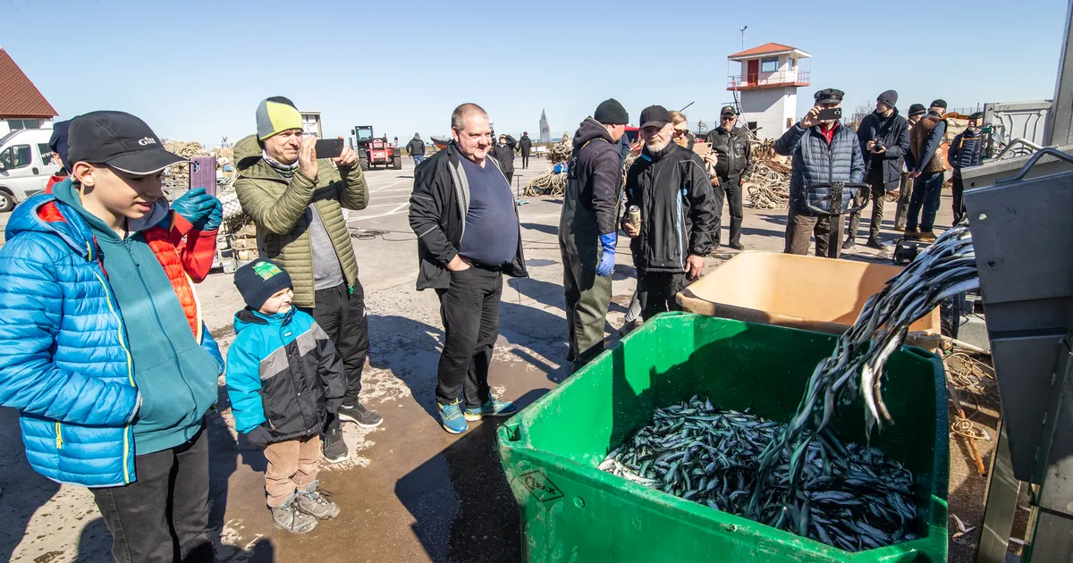 Toila sadam võõrustas kalasõprade pidu