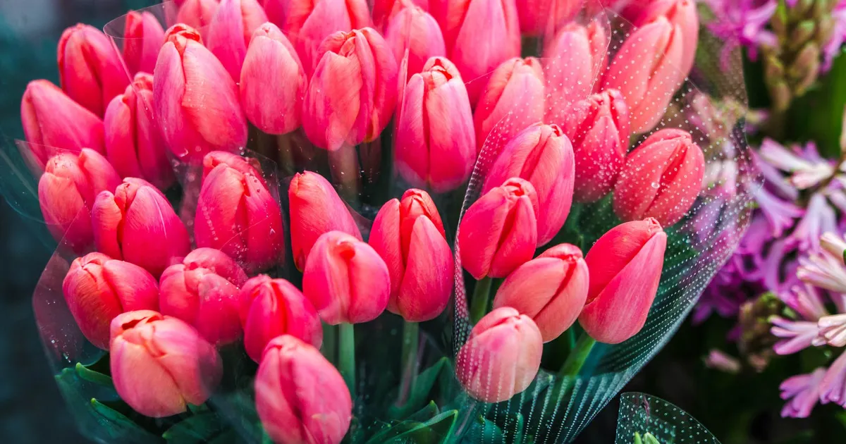 Kuidas sõbrapäeva lilled kauem ilusad püsiksid?