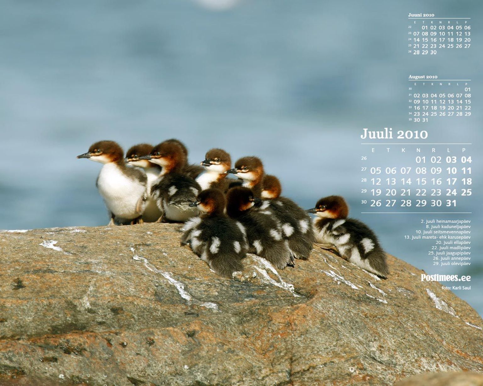 Juuli kalender - Postimees: Värsked uudised Eestist ja välismaalt