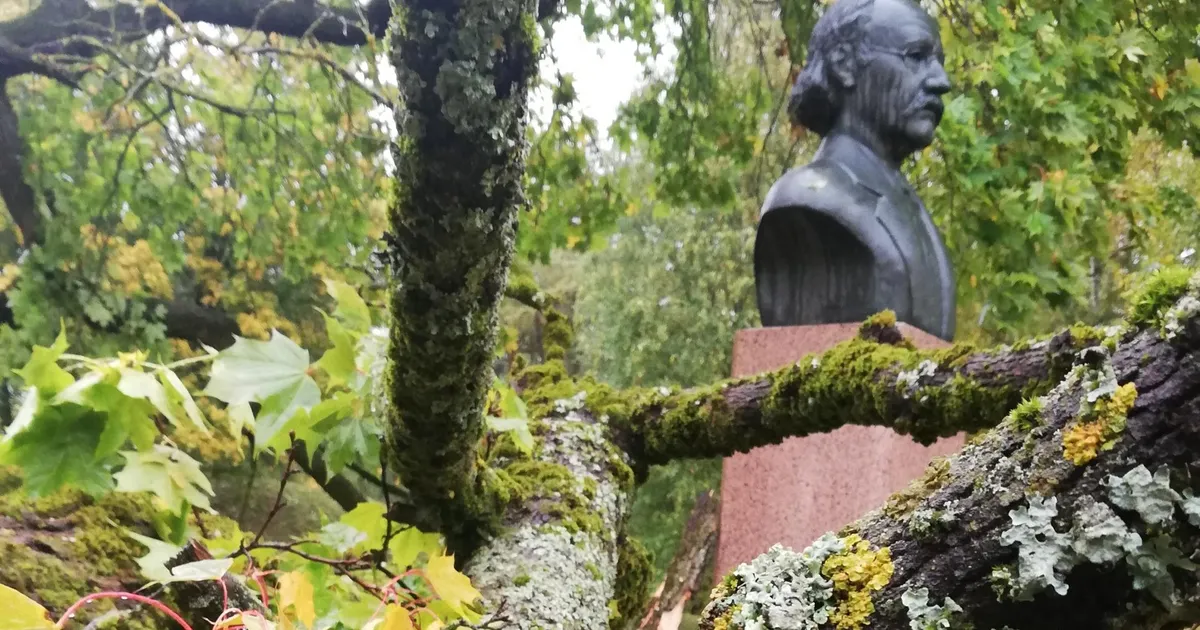 Murdunud puu näitas kätte ebatavalise sambliku