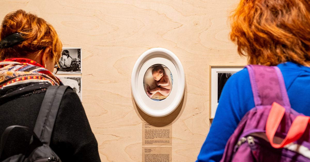 GALERII Kuulsad näitlejad pildistavad, siin on galerii näituse avamiselt