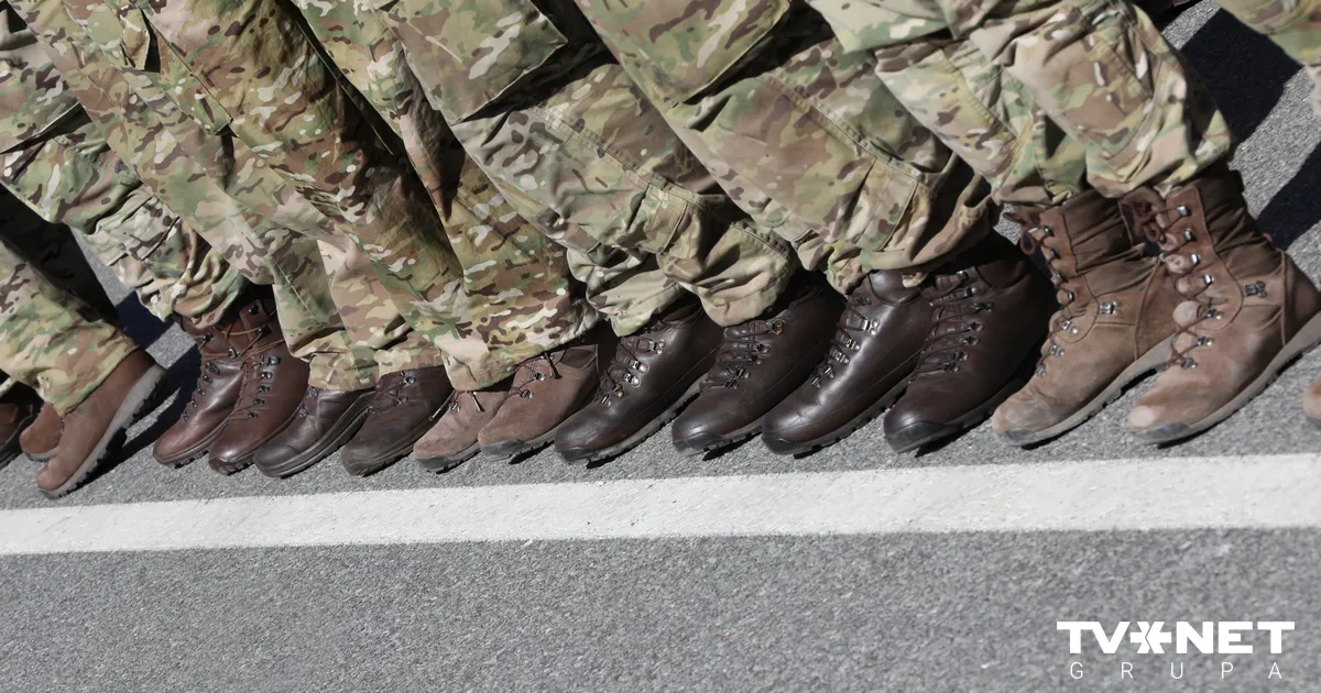 Латвия и другие страны NB8 уже в этом году начнут развивать украинскую ...