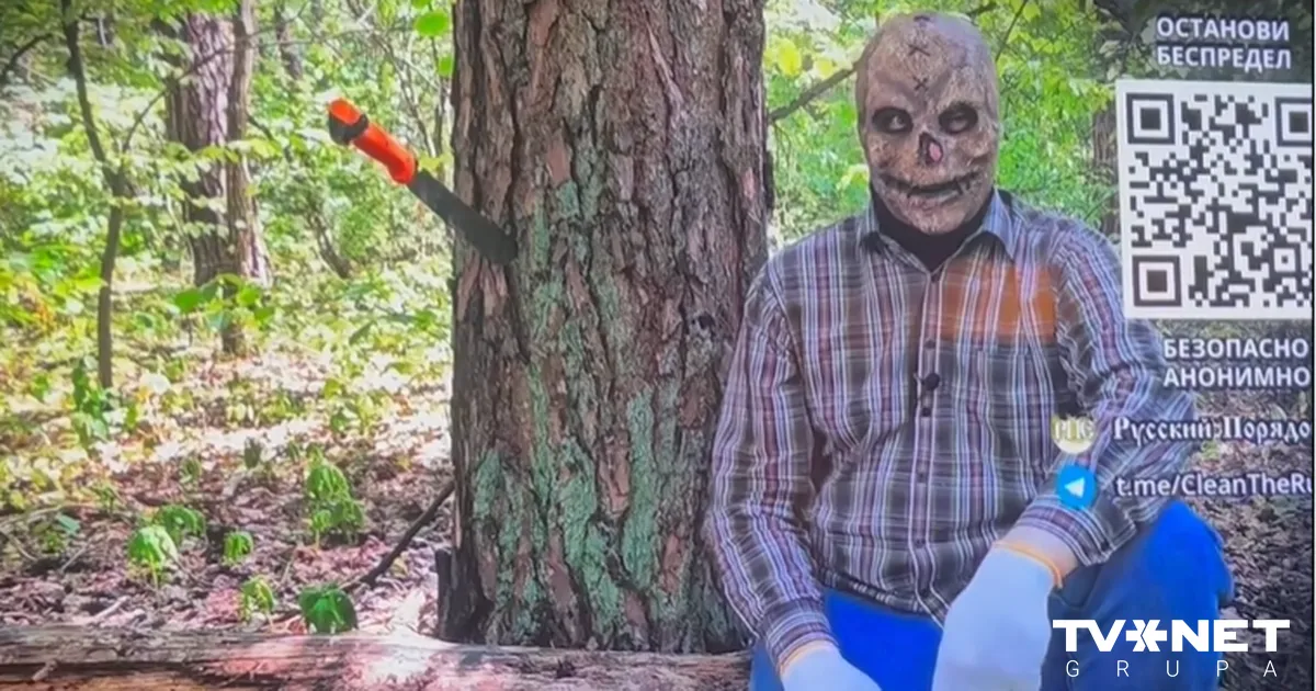 Balticom после кибератаки возобновил прямую трансляцию интерактивного ...