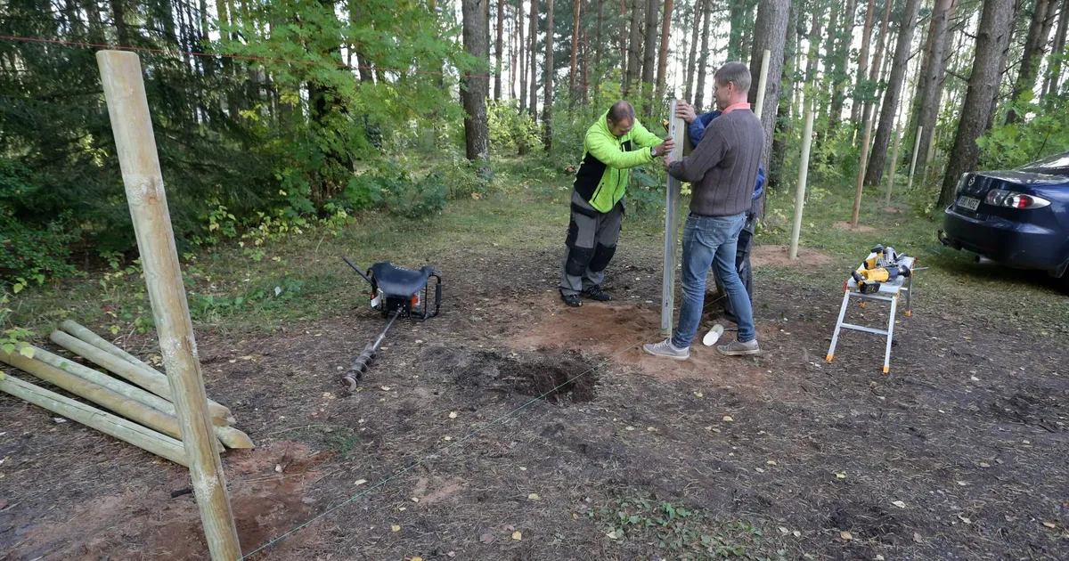 Ihaste metsatüli uus vaatus: omanik piirab metsa aiaga