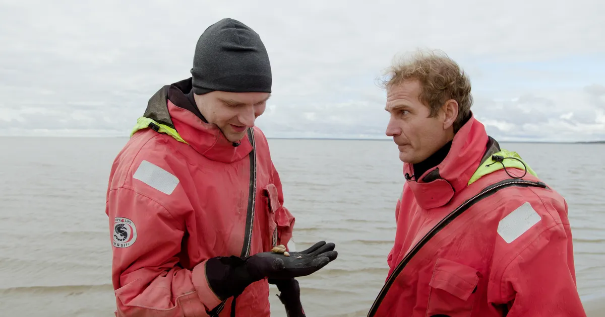 Mereteadlased lükkavad Tagalahes käima globaalse karbiäri