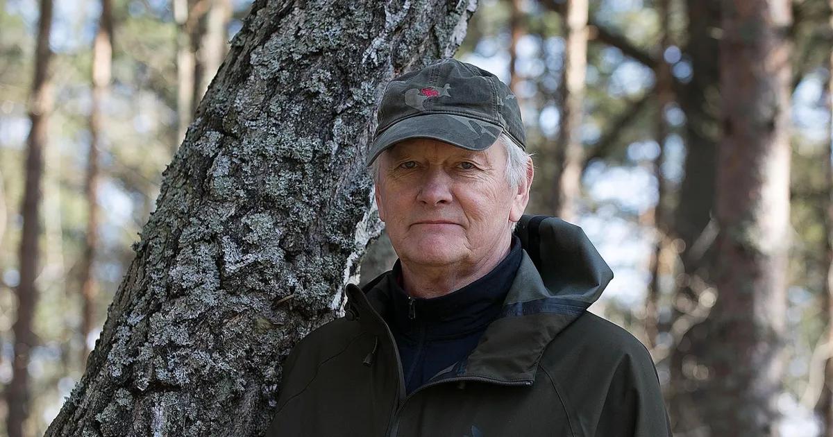 Metsaomanikud hädas: oma metsas kehtivad piirangud, millest endal pole ...