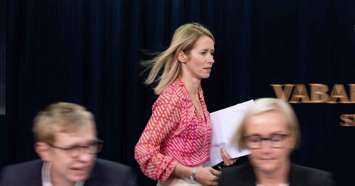 Suvised kärpeleiud ilustasid riigi rahahügieeni, suurt kasu toomata
