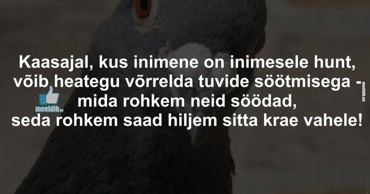 Kui inimene on inimesele hunt