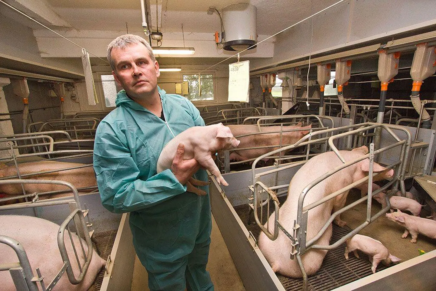 MAAELU Keskkonnaamet uurib veebruarist võimalikku reostust Pähkla sigalas