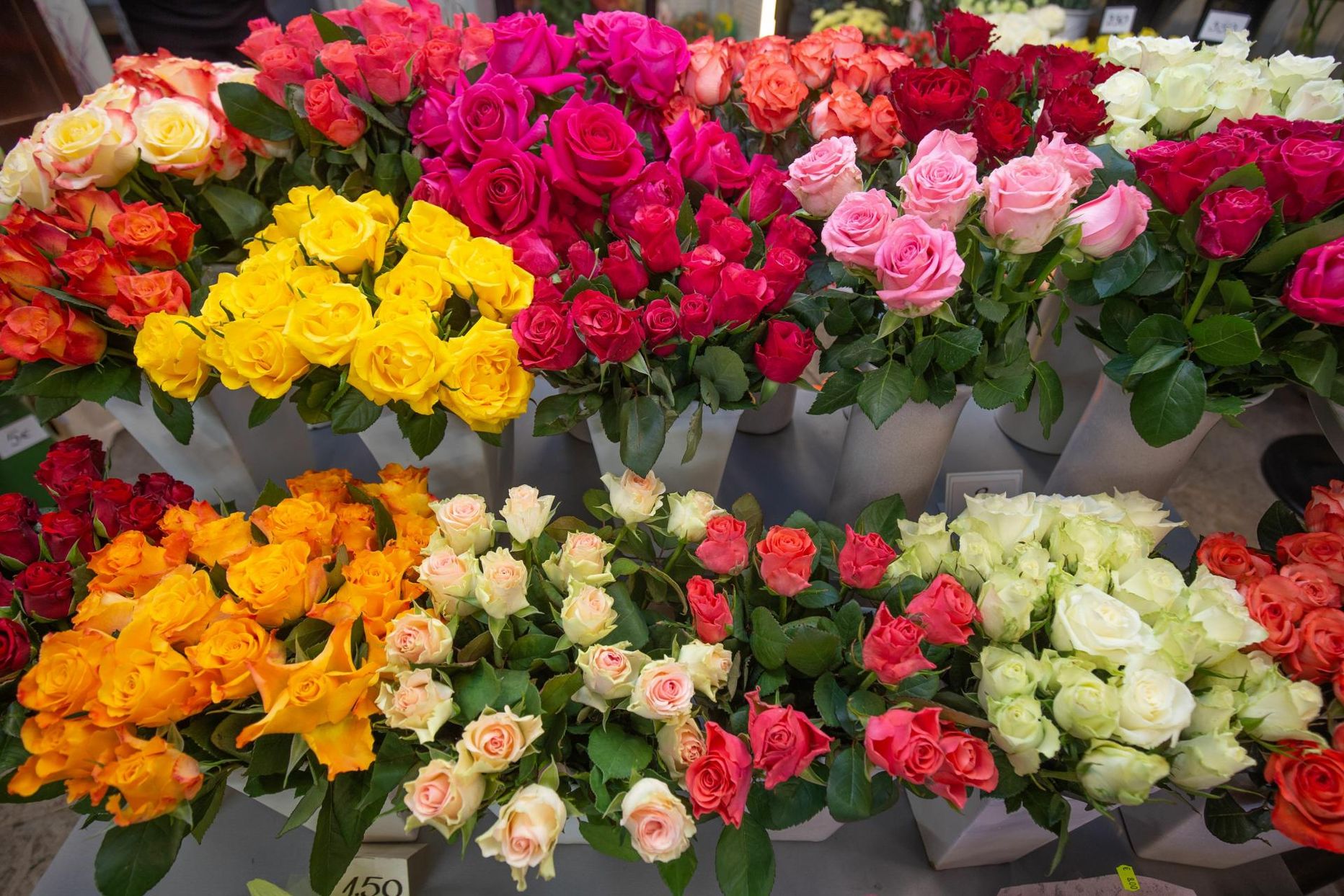 Põlvamaaga seotud tähtpäevad septembris