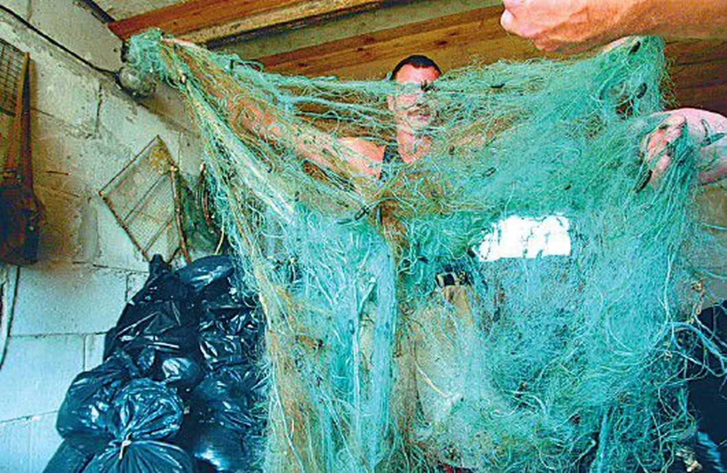 Järved kubisevad Hiina tapjavõrkudest