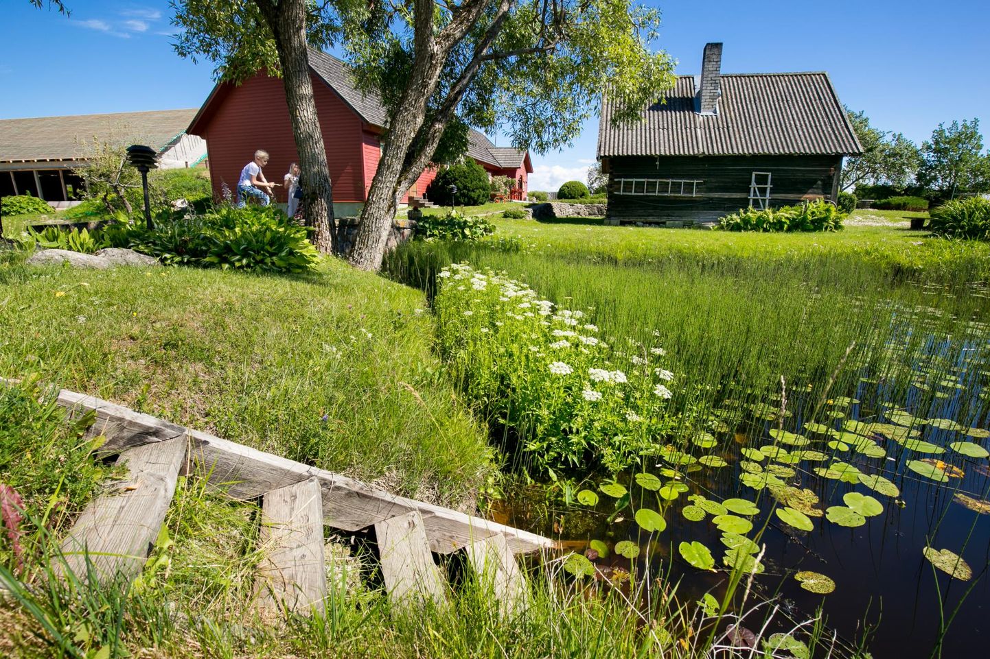 Pärnumaa talu püüab aasta turismiobjekti tiitlit