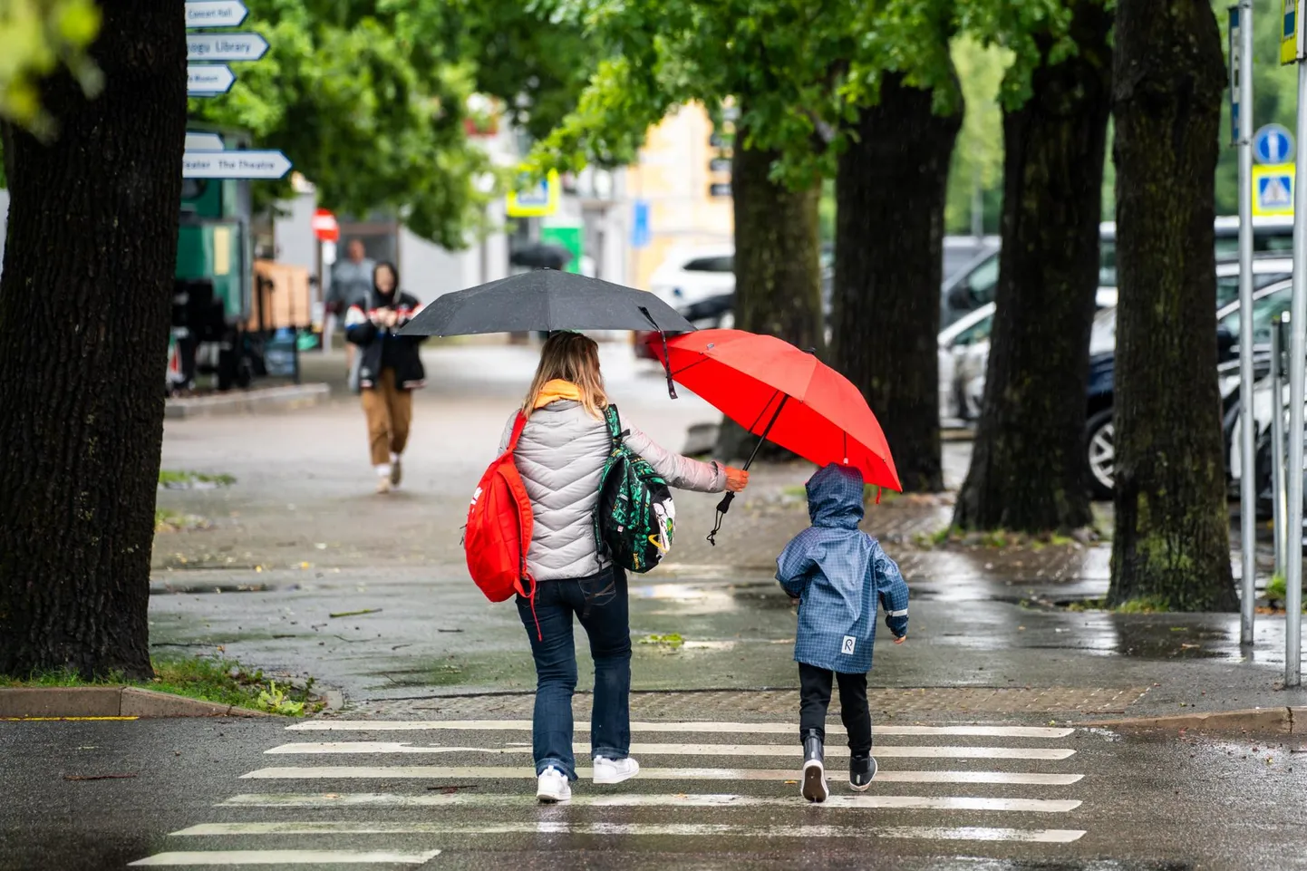 Reedel tuleb küll 14 kraadi sooja, kuid sajab vihma