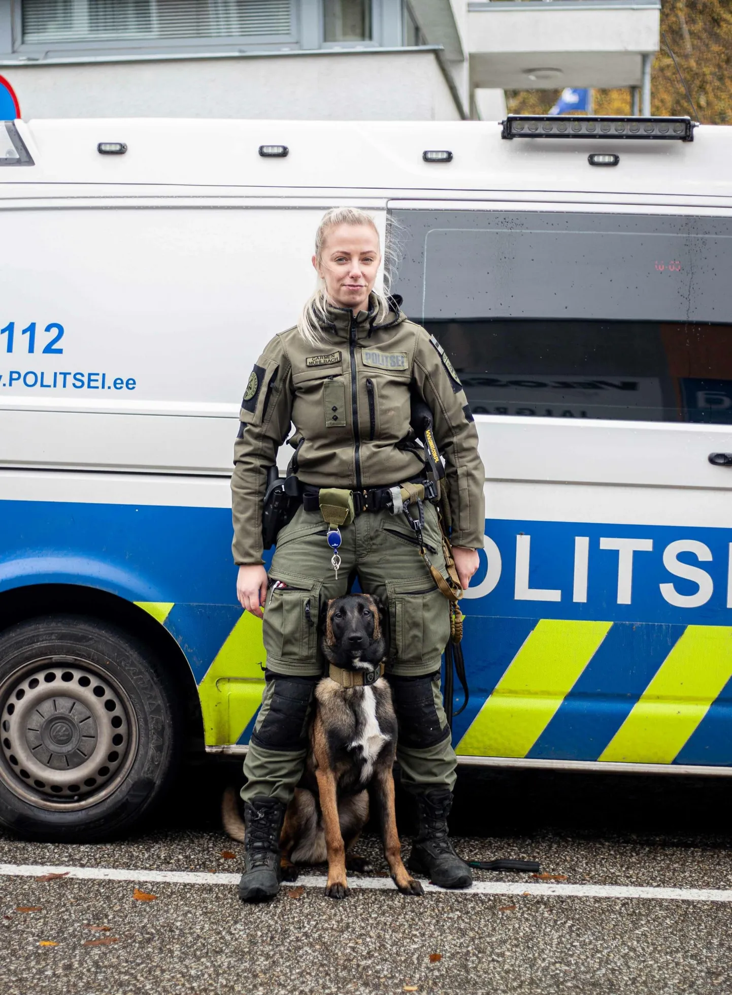 Koerajuht: rohelised mehikesed ei ole nii hirmsad, kui tundub