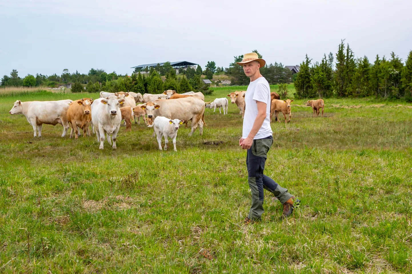 Mario Talvist koristas rekordilise silosaagi