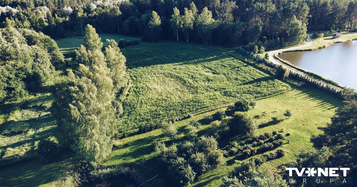 Kā tapa piemājas pļava rīdzinieku Madaras un Reiņa lauku mājās “Vilnīšos”