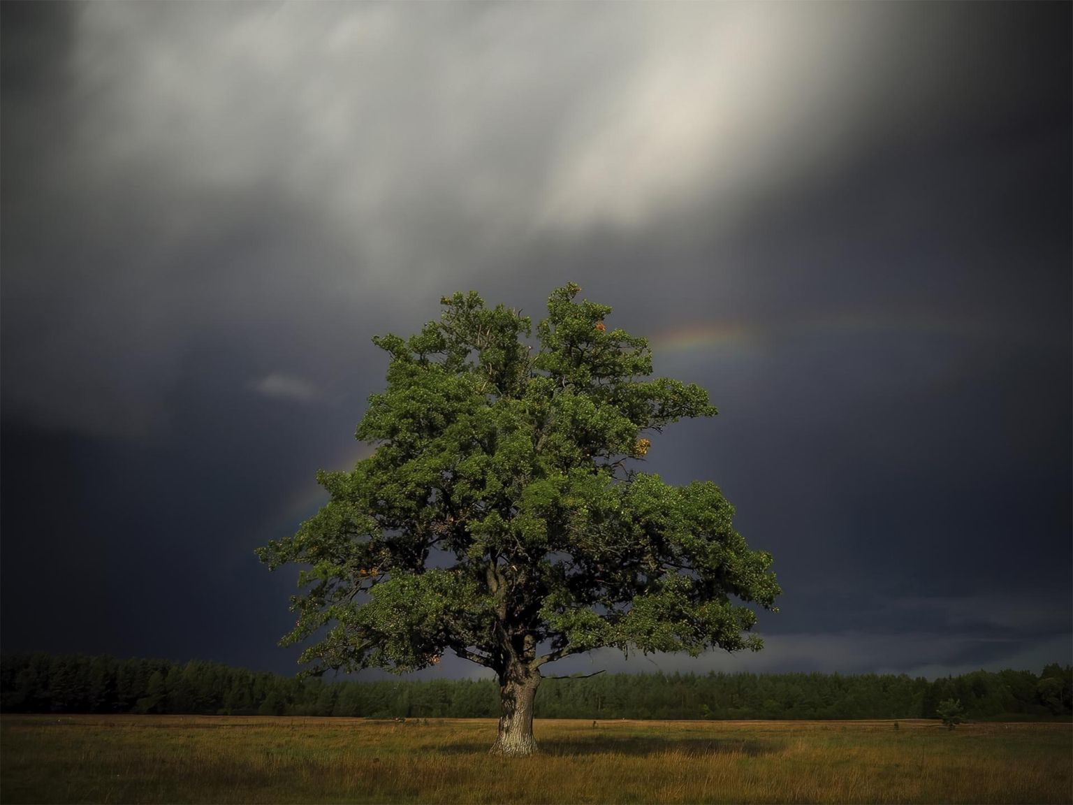 LOODUSFOTO Kuuvikerkaare peidetud värvid