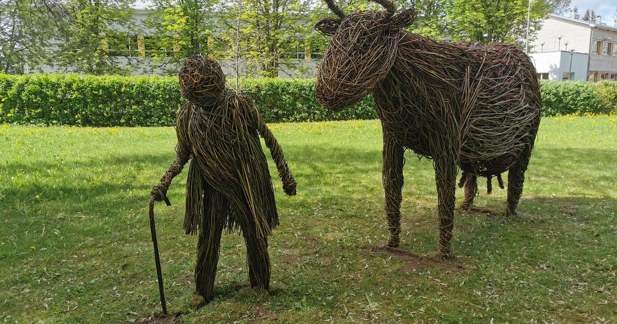 INSTALLATSIOON "Vanamehe ja lehma" kuju avatakse vandaalide rünnakust ...