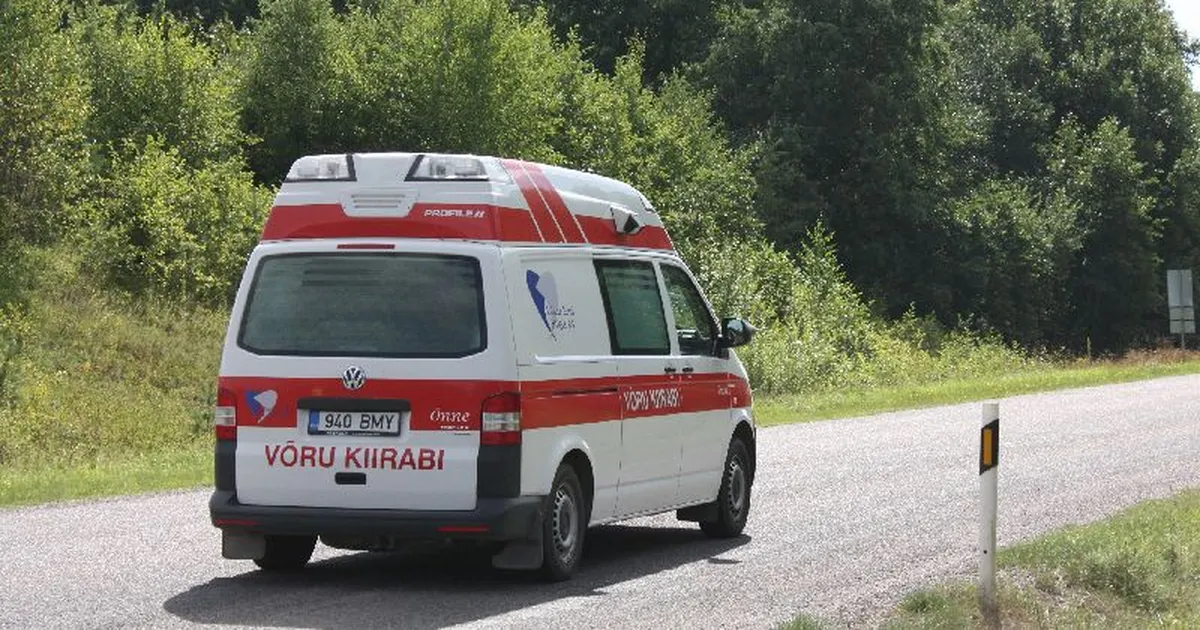 Suur lind sõiduteel tõi kaasa õnnetuse
